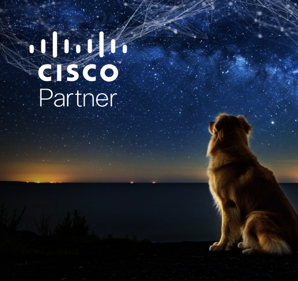 Cisco Smart Challenge - Softsource vBridge