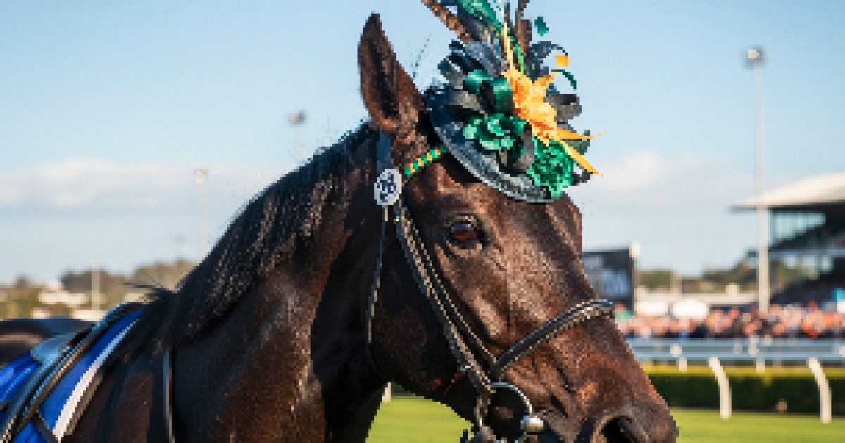 Motukarara Raceday - Softsource vBridge